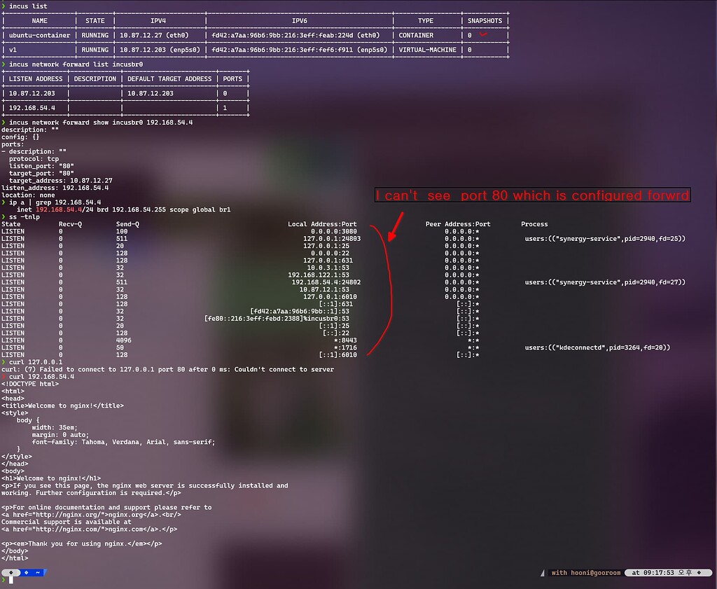 Incus port forward issue, I think - Incus - Linux Containers Forum