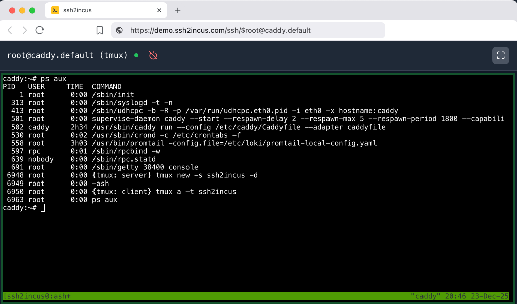SSH2incus web ssh console - Incus - Linux Containers Forum